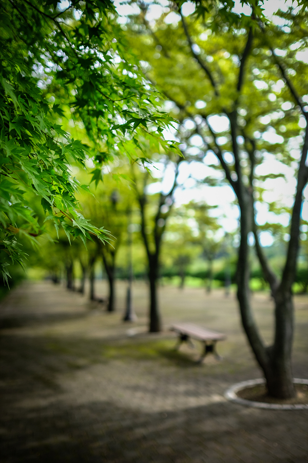 [X-T1] 예전에 찍어놓은 사진들 ㄷㄷㄷㄷㄷ(12장) - 후지필름 Talk