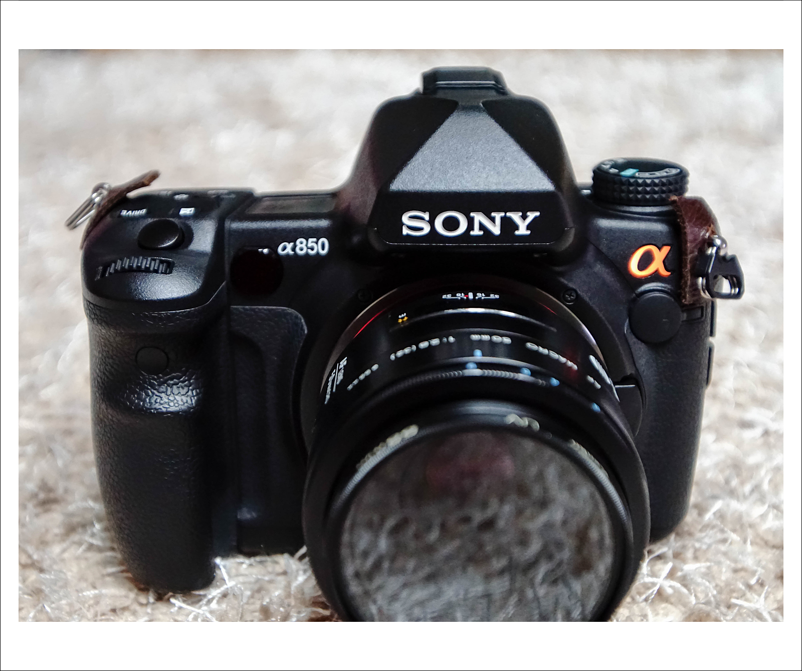 [a850 + a77m2] 민트급 a77m2 영입완료 - 소니 Talk