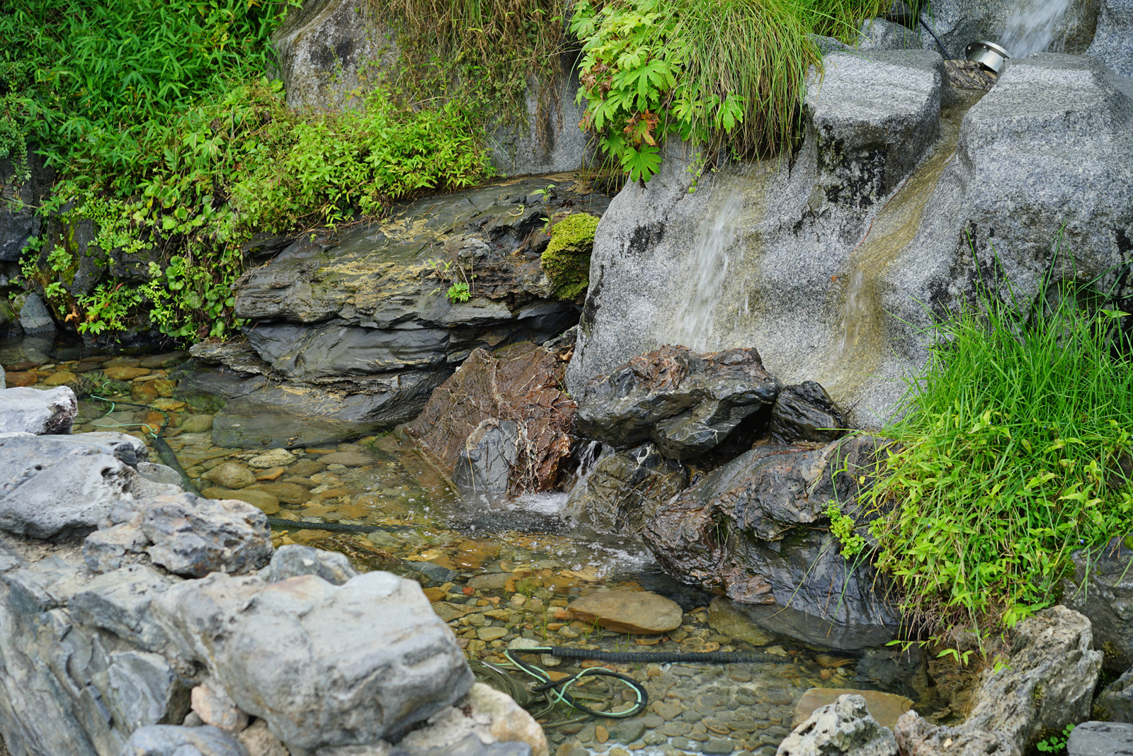 [A7m2+55.8z] 전주 한옥마을 - 소니 Talk