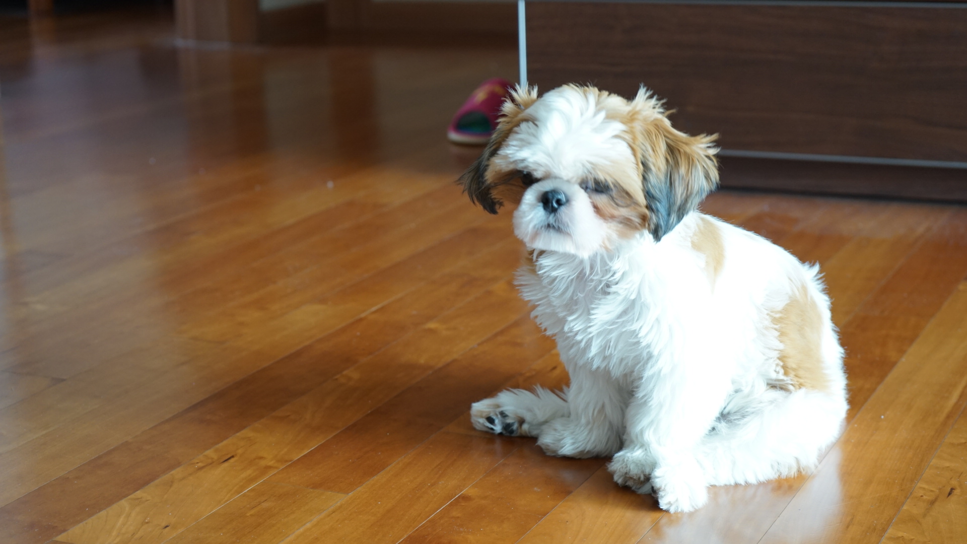 a7m2 + 2870 번들로 찍은 사진들입니다. 기반하여 렌즈추천 부탁드려요 굽신굽신 ㅠㅠ - 소니 Talk