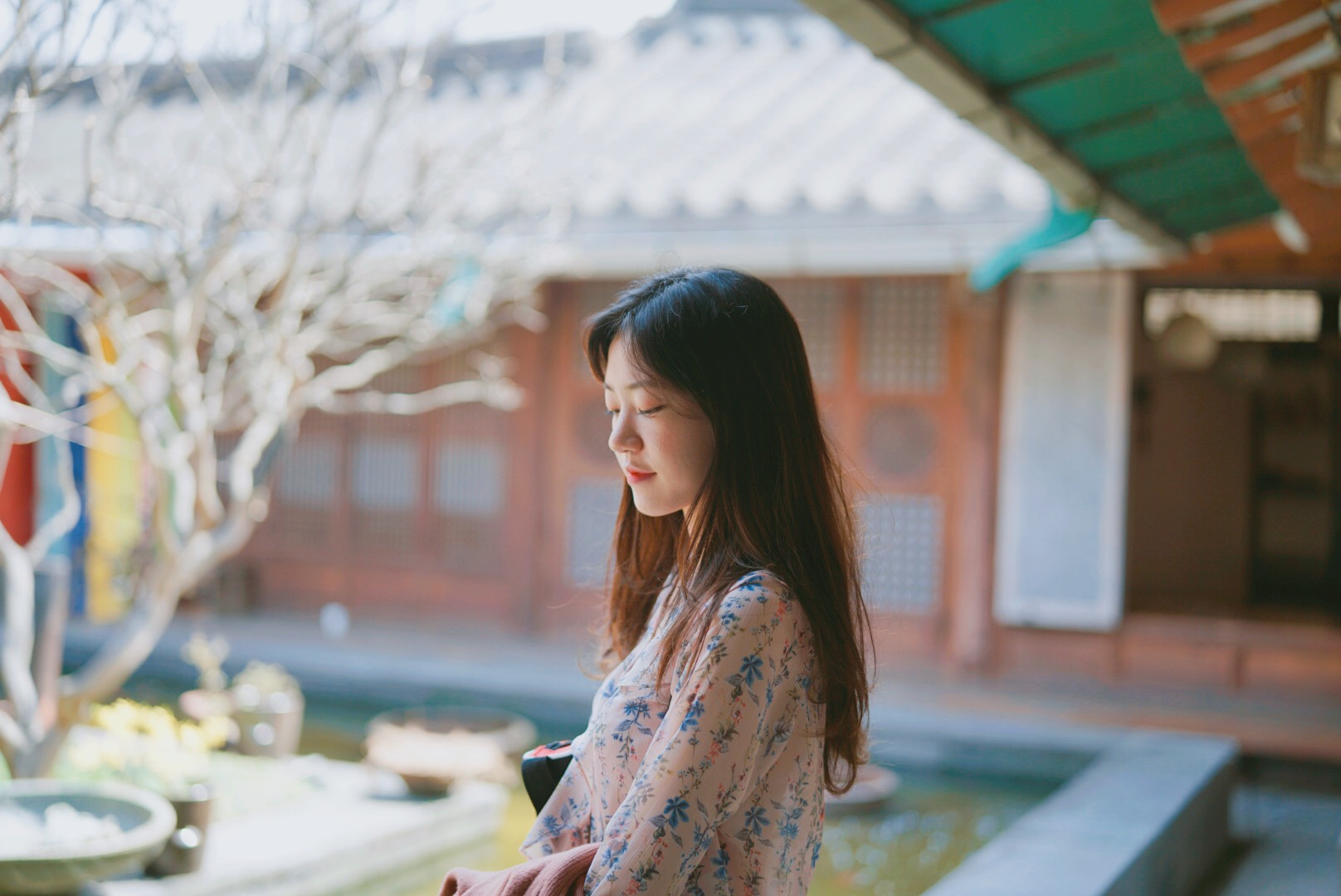[A7R2+fe50.4] 전주 한옥마을 여친샷 - 소니 Talk