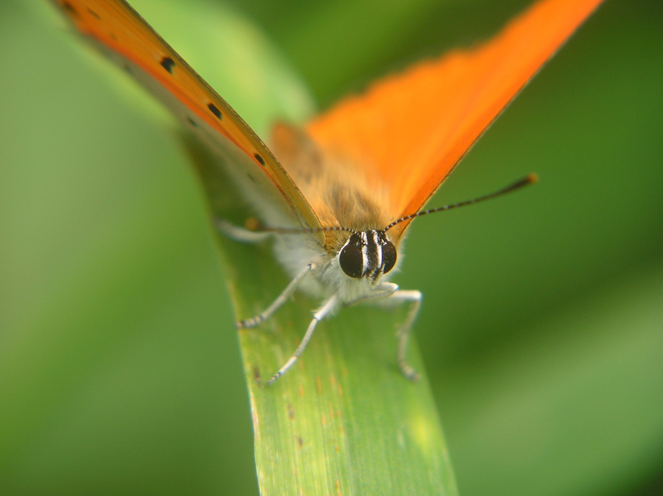 dkdkk - 팝코넷 | 포토 갤러리