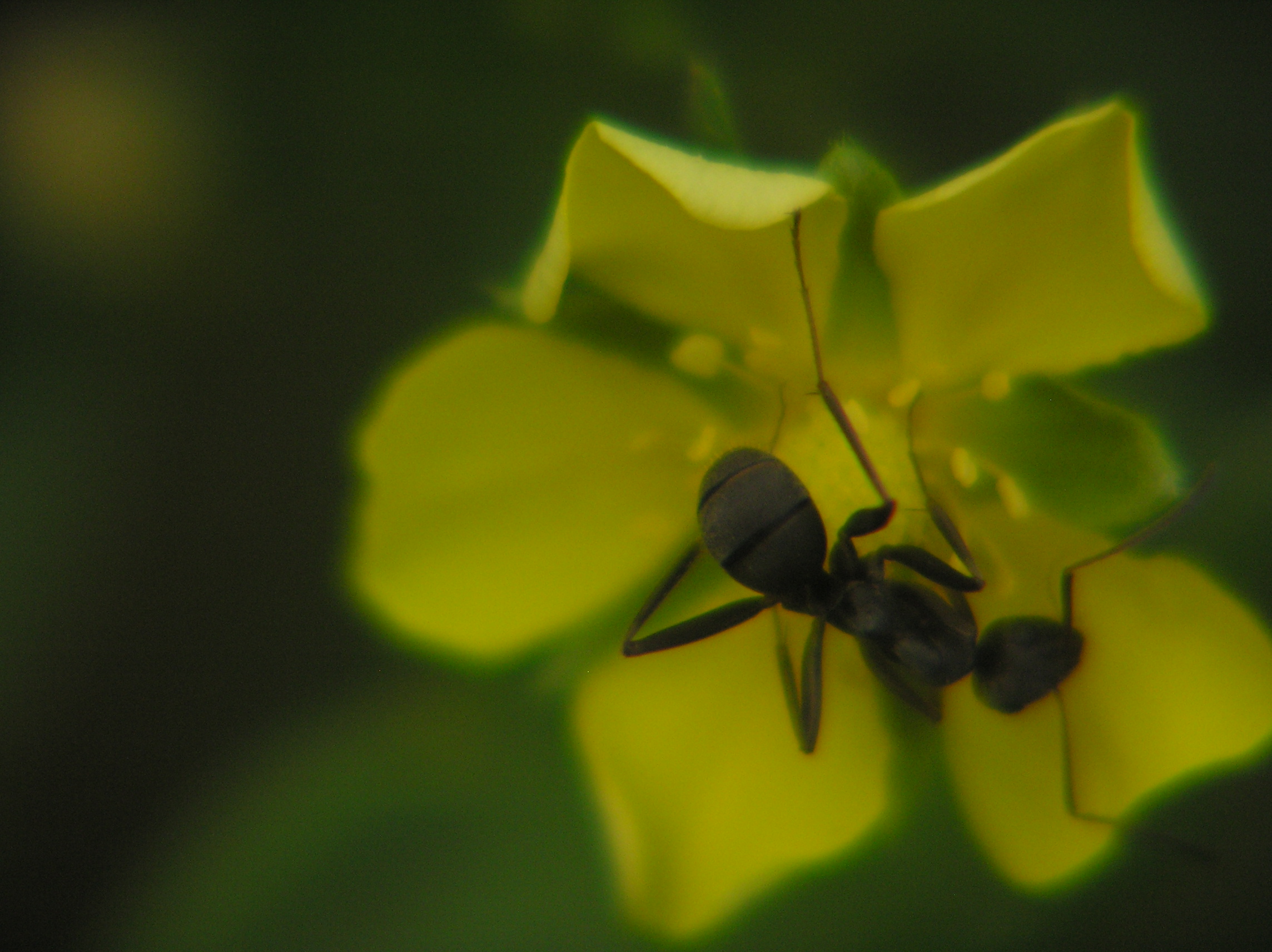 dkdkk - 팝코넷 | 포토 갤러리