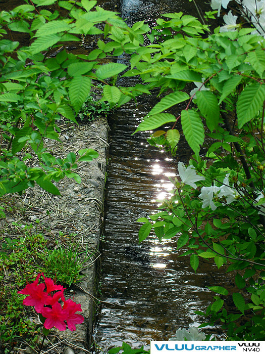 삼성 VLUU NV40, 약 3주간의 사용기 -(2) - 팝코넷 | 유저팁 & 사용기